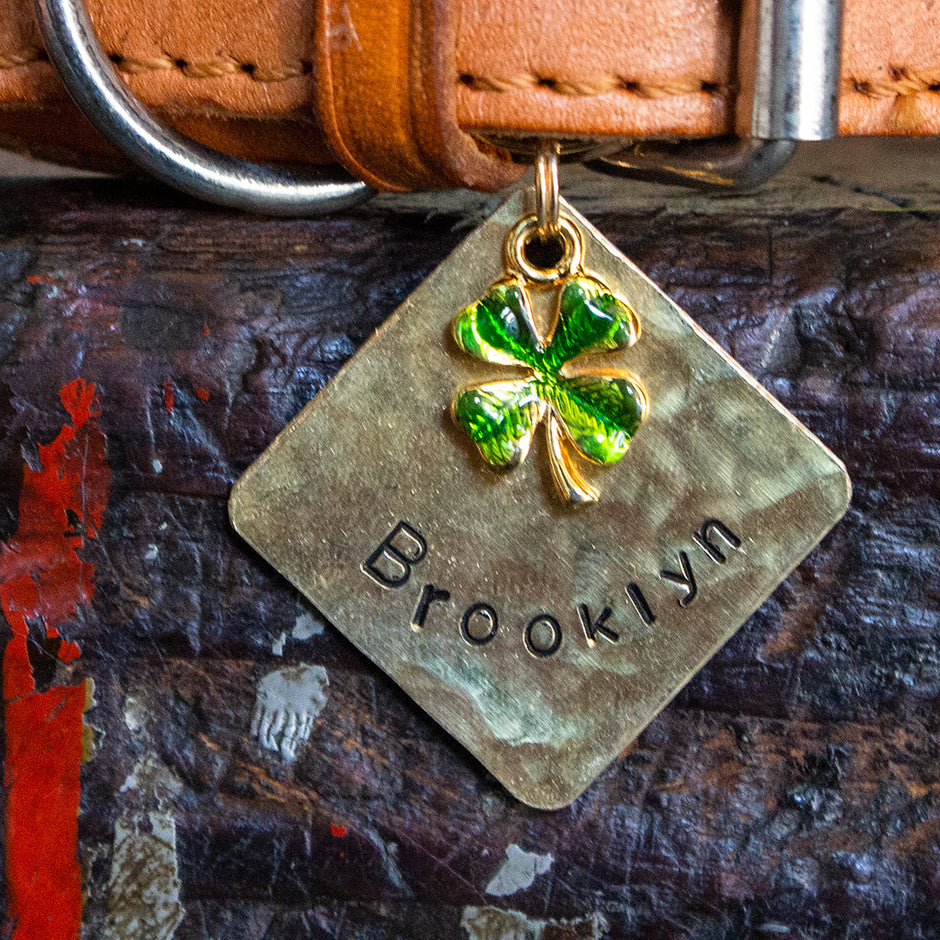 REGALITO KOBE Dog & Cat Tag 迷子札 – dog label Kobe